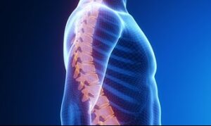 Mid Back Pain (Thoracic) Introduction (MSK Patient Portal) - NHS ...